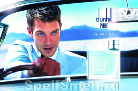 Alfred Dunhill Pure — купить мужские духи, туалетную воду, парфюм ...