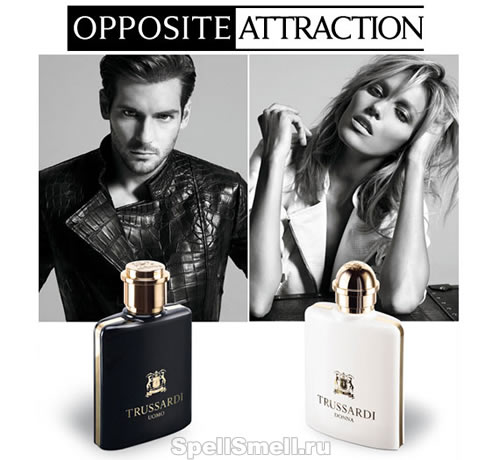 Trussardi Uomo Trussardi 2011 — купить мужские духи, туалетную воду ...